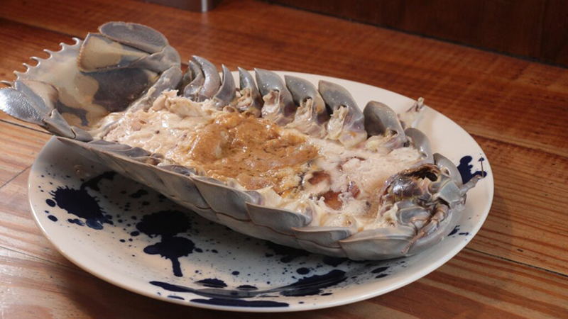 OLN TV | تايوان تبتكر وجبة طعام جديدة بمخلوق غريب ومخيف